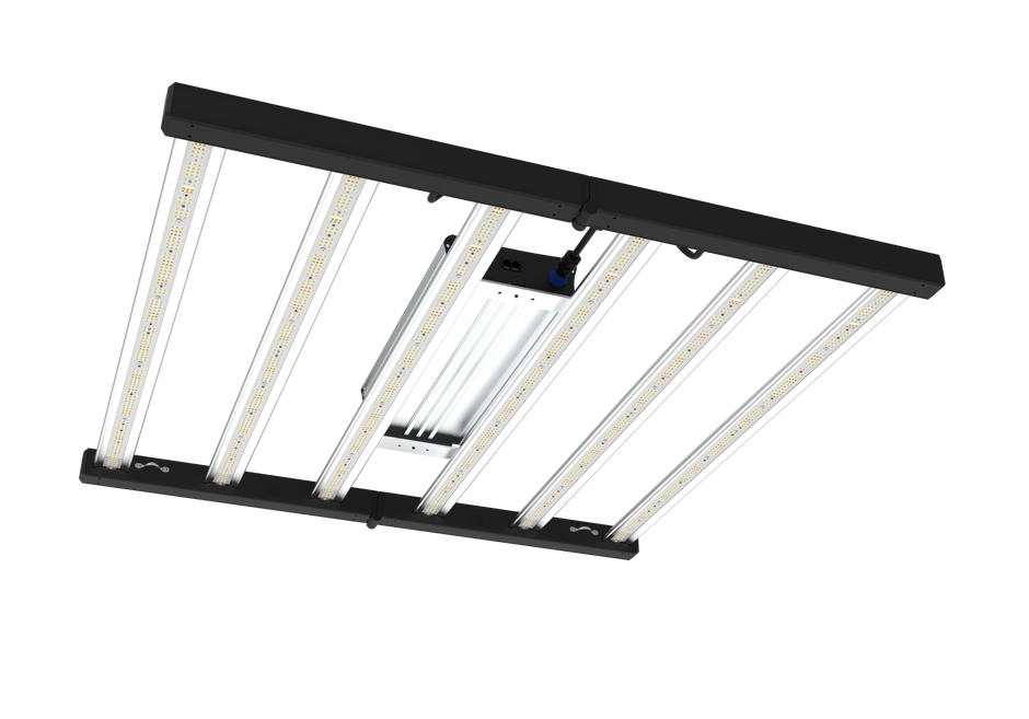 Grand Master LEDs Canada - Efficiency, Innovation, Diversity